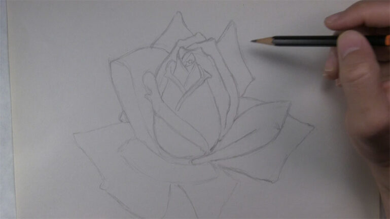 How to Draw a Rose with Simple Shading - Let's Draw Today