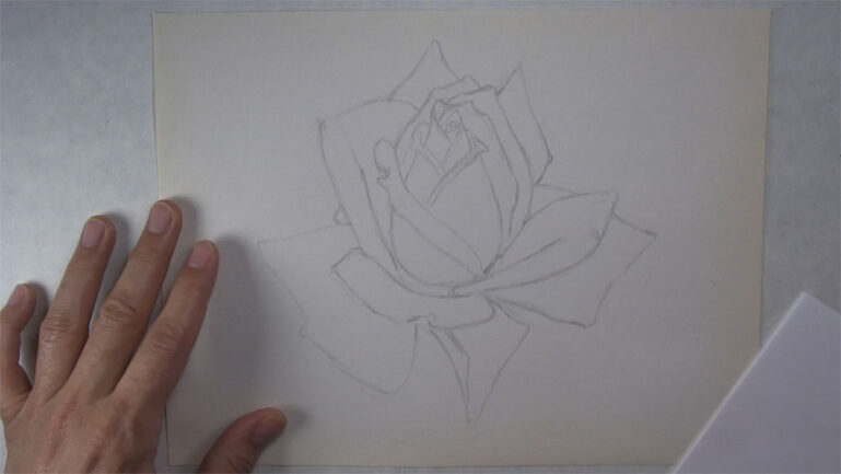 How to Draw a Rose with Simple Shading - Let's Draw Today