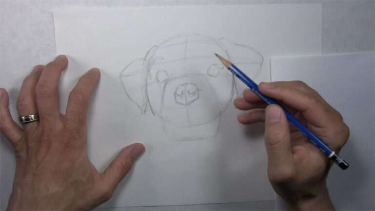 How to Draw a Dog Face with Pleasingly Realistic Features - Let's Draw ...