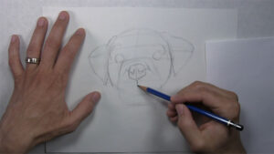 How to Draw a Dog Face with Pleasingly Realistic Features - Let's Draw ...