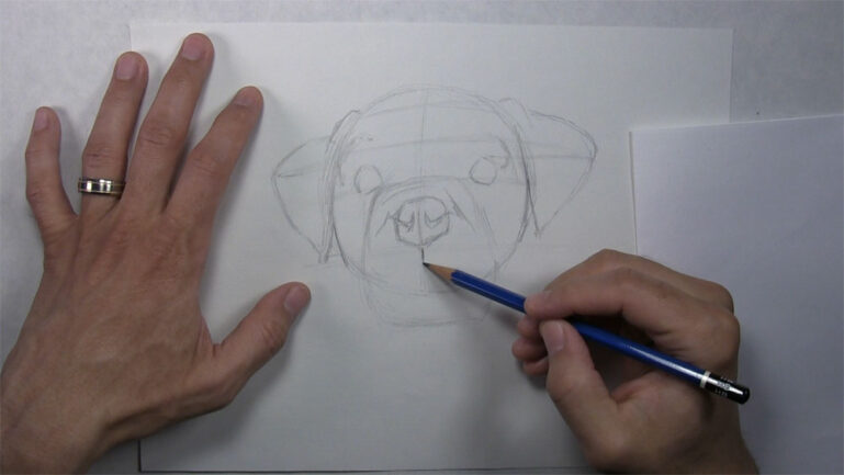 How to Draw a Dog Face with Pleasingly Realistic Features - Let's Draw ...