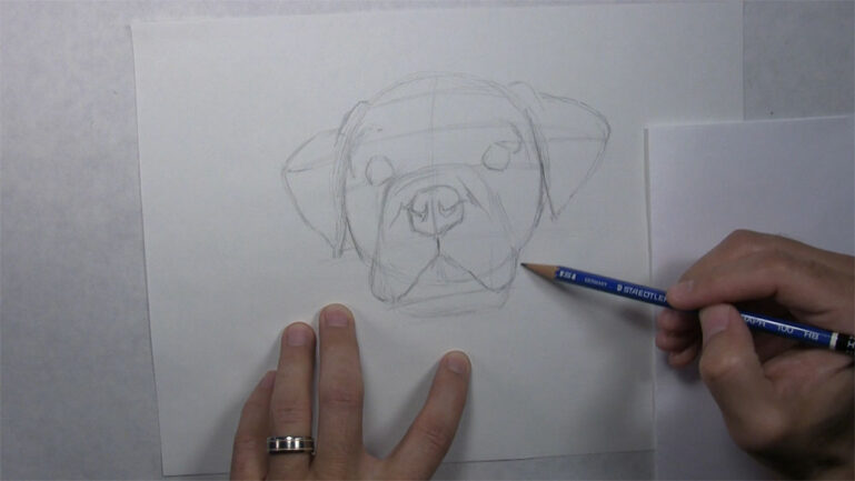 How to Draw a Dog Face with Pleasingly Realistic Features - Let's Draw ...