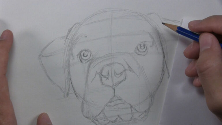 How to Draw a Dog Face with Pleasingly Realistic Features - Let's Draw ...