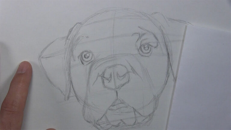 How to Draw a Dog Face with Pleasingly Realistic Features - Let's Draw ...