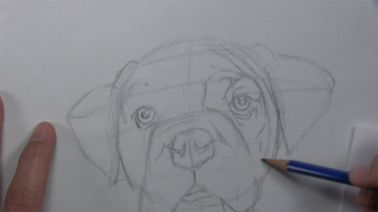 How to Draw a Dog Face with Pleasingly Realistic Features - Let's Draw ...