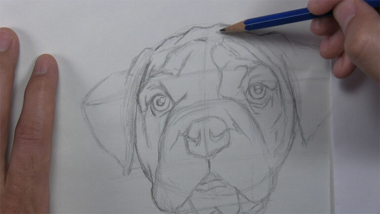 How to Draw a Dog Face with Pleasingly Realistic Features - Let's Draw ...