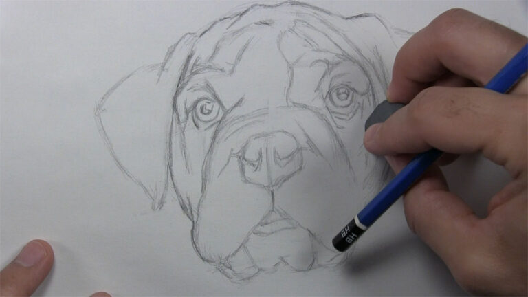How to Draw a Dog Face with Pleasingly Realistic Features - Let's Draw ...