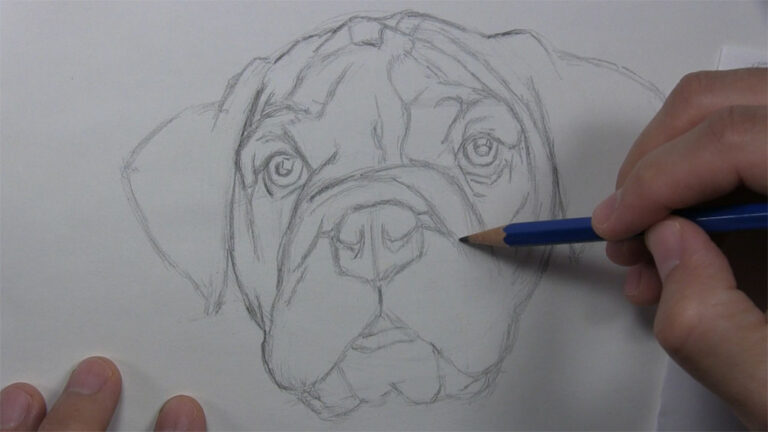How to Draw a Dog Face with Pleasingly Realistic Features - Let's Draw ...