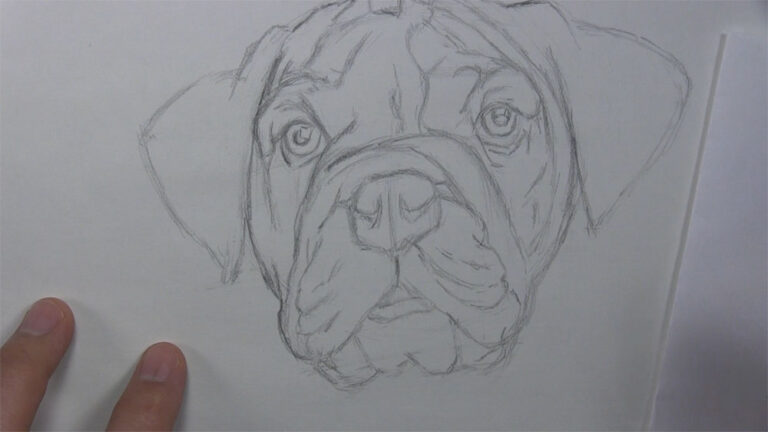 How to Draw a Dog Face with Pleasingly Realistic Features - Let's Draw ...