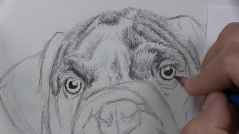 How to Draw a Dog Face with Pleasingly Realistic Features - Let's Draw ...
