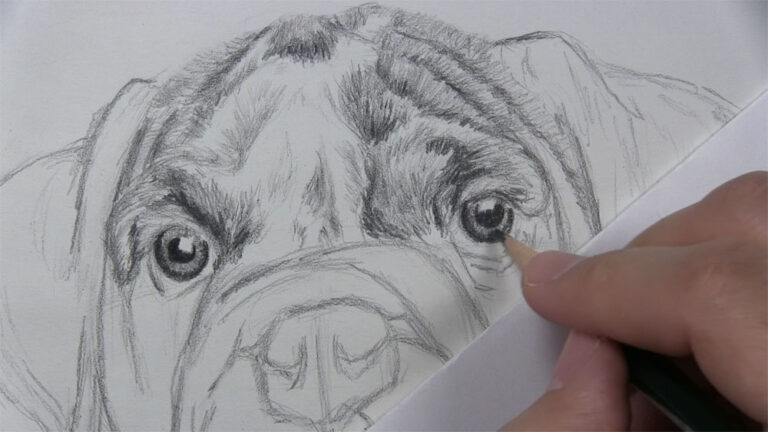 How to Draw a Dog Face with Pleasingly Realistic Features - Let's Draw ...