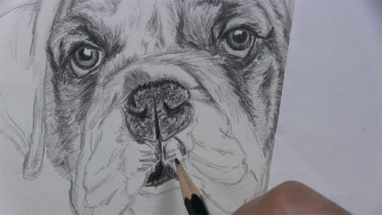 How to Draw a Dog Face with Realistic Features - Let's Draw Today