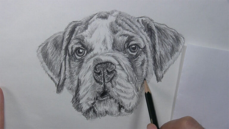 How to Draw a Dog Face with Realistic Features - Let's Draw Today