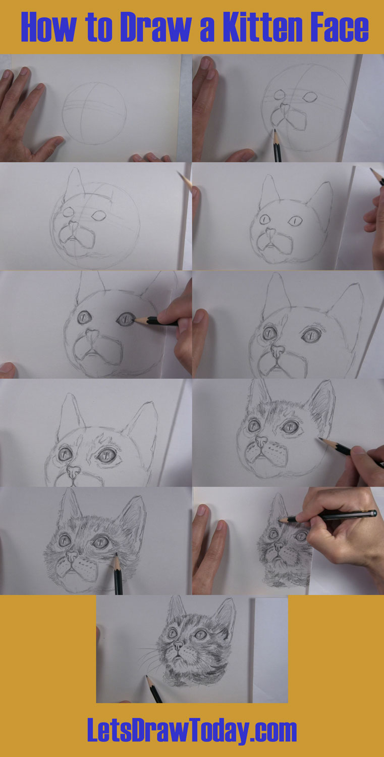 How to Draw a Kitten Face Step by Step - Let's Draw Today