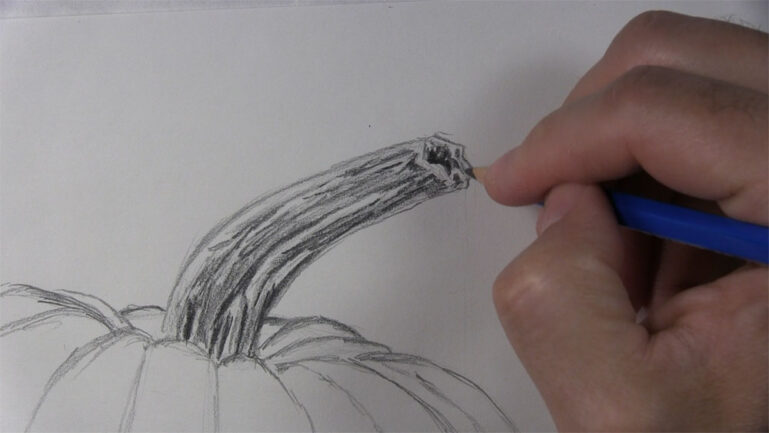 How to Draw a Realistic Pumpkin - Freeman Thord1987