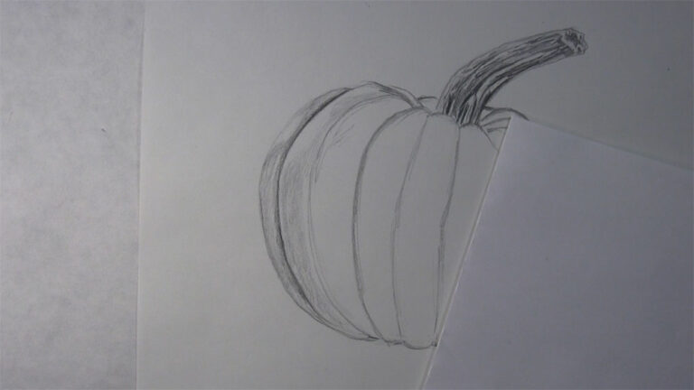 How to Draw a Pumpkin Realistically with Easy Steps - Let's Draw Today