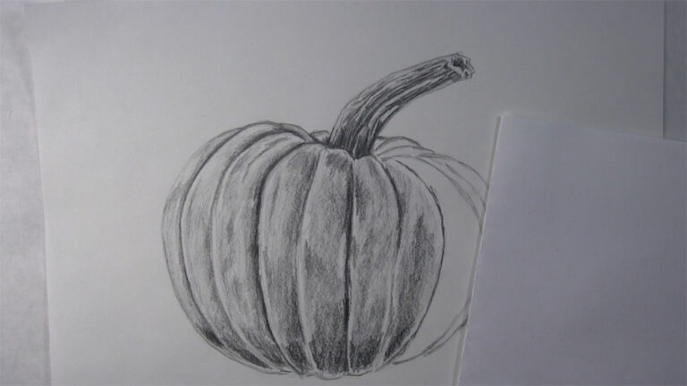 How to Draw a Pumpkin Realistically with Easy Steps - Let's Draw Today