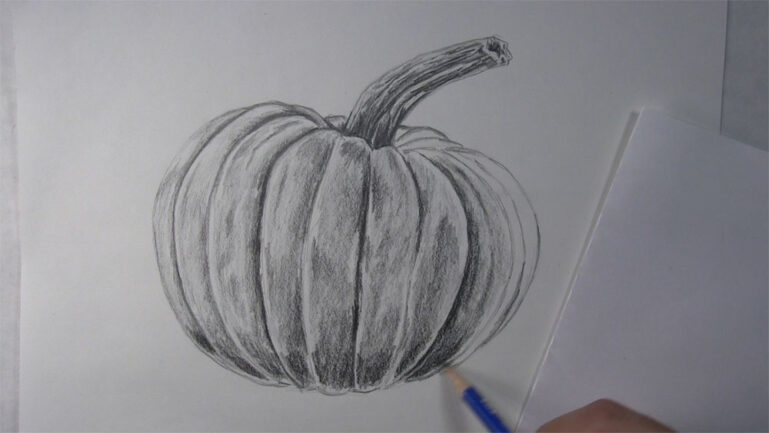 How to Draw a Pumpkin Realistically with Easy Steps - Let's Draw Today