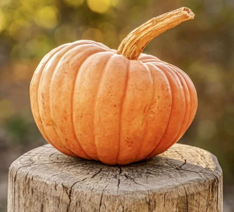 How to Draw a Pumpkin Realistically with Easy Steps - Let's Draw Today