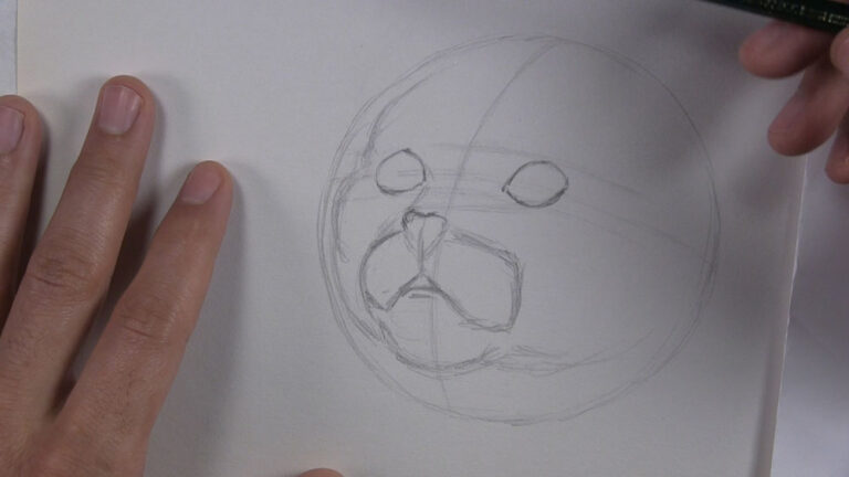 How to Draw a Kitten Face Step by Step - Let's Draw Today