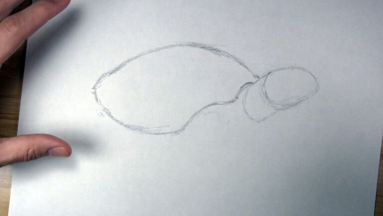 How to Draw a Sea Turtle Step by Step - Let's Draw Today