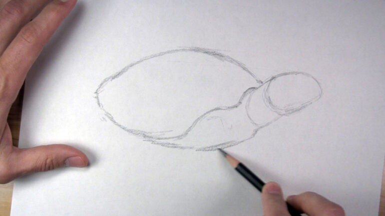 How to Draw a Sea Turtle Step by Step - Let's Draw Today