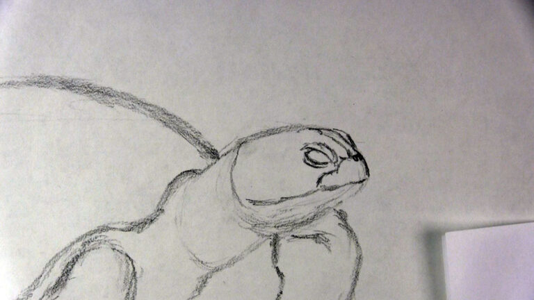 How to Draw a Sea Turtle Step by Step - Let's Draw Today
