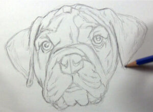 How the Grid Drawing Method Will Make You Have Improved Art - Let's ...