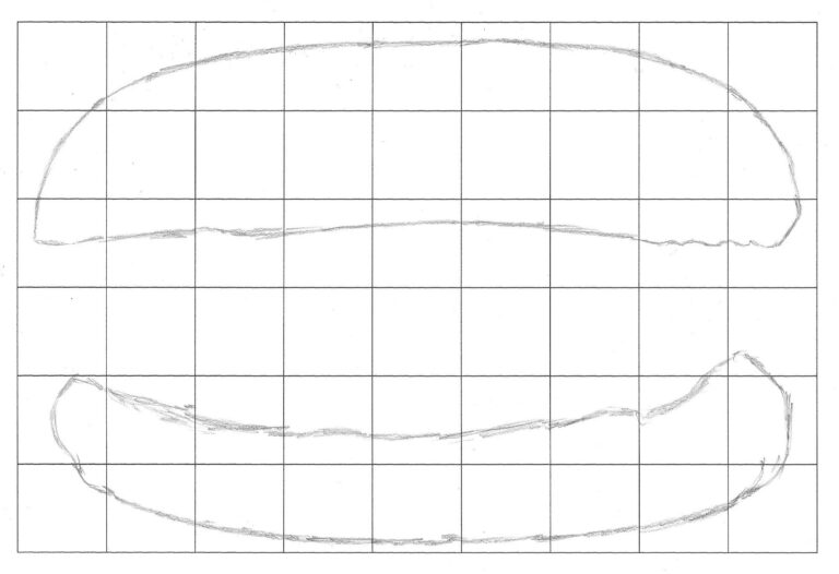 How the Grid Drawing Method Will Make You Have Improved Art - Let's ...