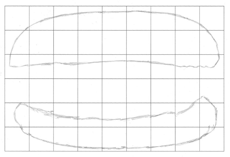 How the Grid Drawing Method Will Make You Have Improved Art - Let's ...