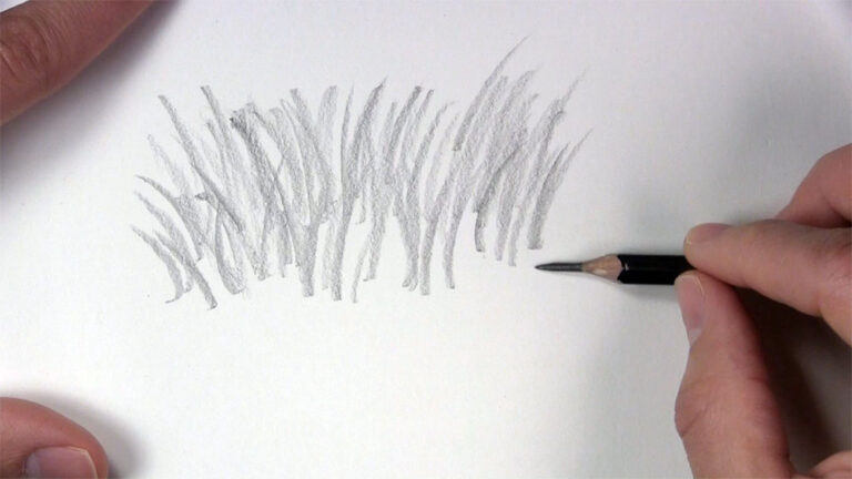 How to Draw Realistic Grass That's Ready to Be Seen - Let's Draw Today