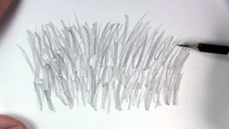 How to Draw Realistic Grass That's Ready to Be Seen - Let's Draw Today