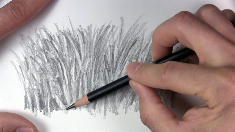 How to Draw Realistic Grass That's Ready to Be Seen - Let's Draw Today