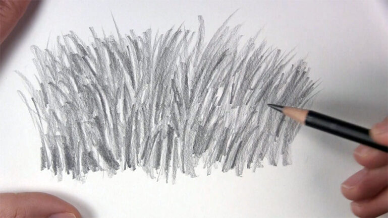 How to Draw Realistic Grass That's Ready to Be Seen - Let's Draw Today