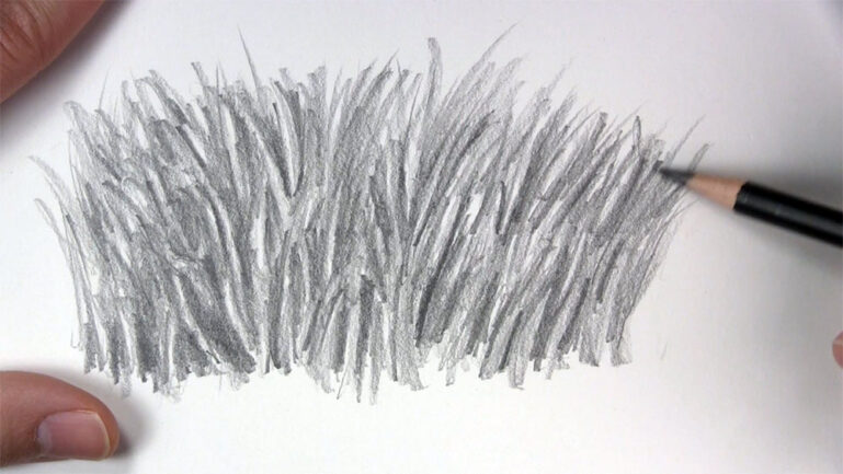 How to Draw Realistic Grass That's Ready to Be Seen - Let's Draw Today