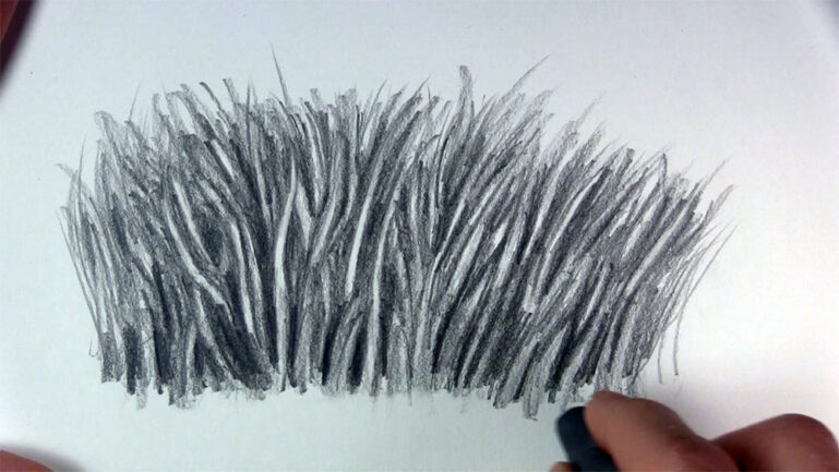 How to Draw Realistic Grass That's Ready to Be Seen - Let's Draw Today