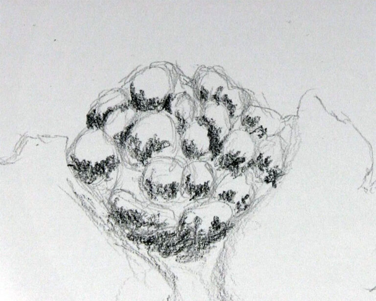 How to Draw a Tree with Leaves in a Surprisingly Familiar Way - Let's ...