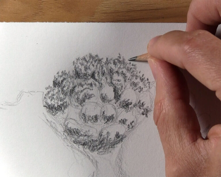 How to Draw a Tree with Leaves in a Surprisingly Familiar Way - Let's ...