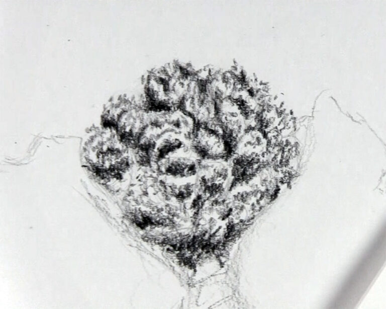 How to Draw a Tree with Leaves in a Surprisingly Familiar Way - Let's ...