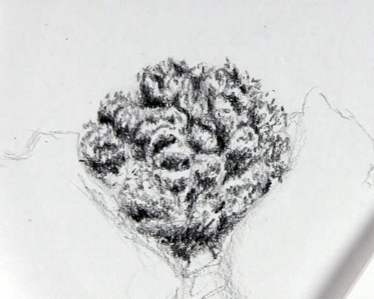 How to Draw a Tree with Leaves in a Surprisingly Familiar Way - Let's ...