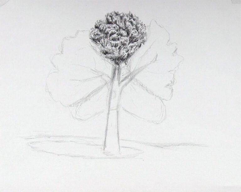 How to Draw a Tree with Leaves in a Surprisingly Familiar Way - Let's ...