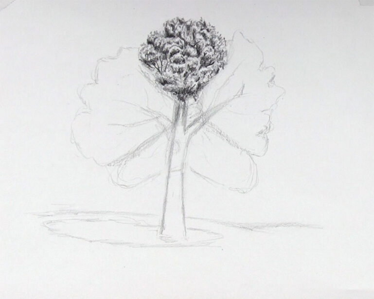 How to Draw a Tree with Leaves in a Surprisingly Familiar Way - Let's ...