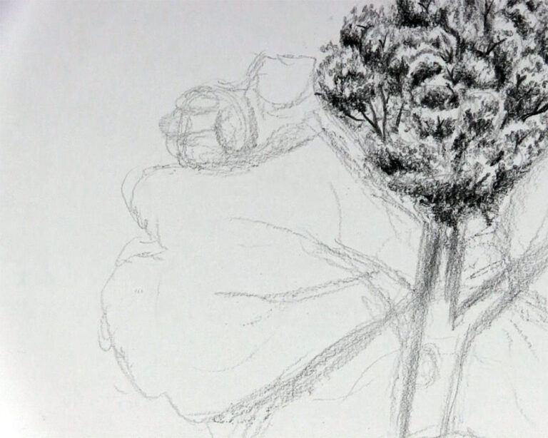 How to Draw a Tree with Leaves in a Surprisingly Familiar Way - Let's ...