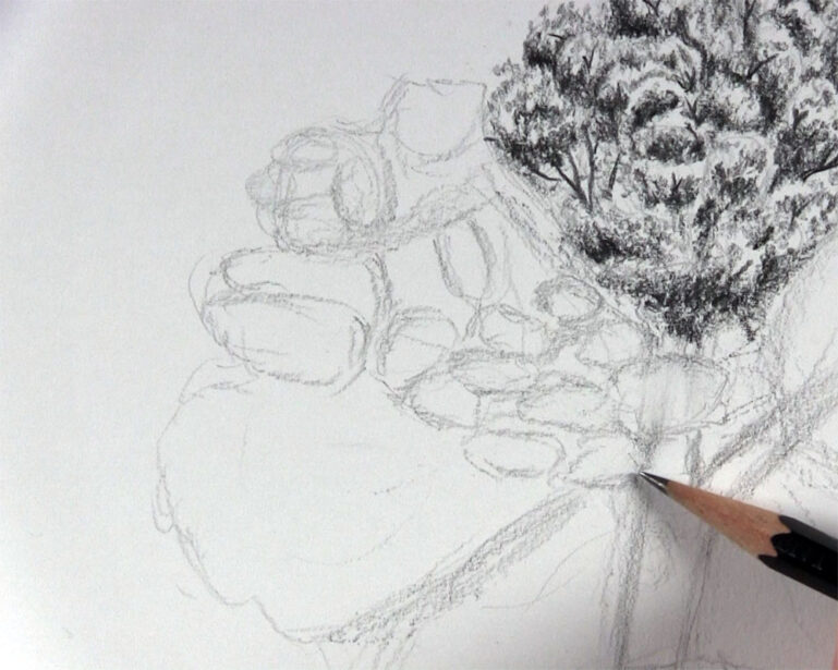 How to Draw a Tree with Leaves in a Surprisingly Familiar Way - Let's ...