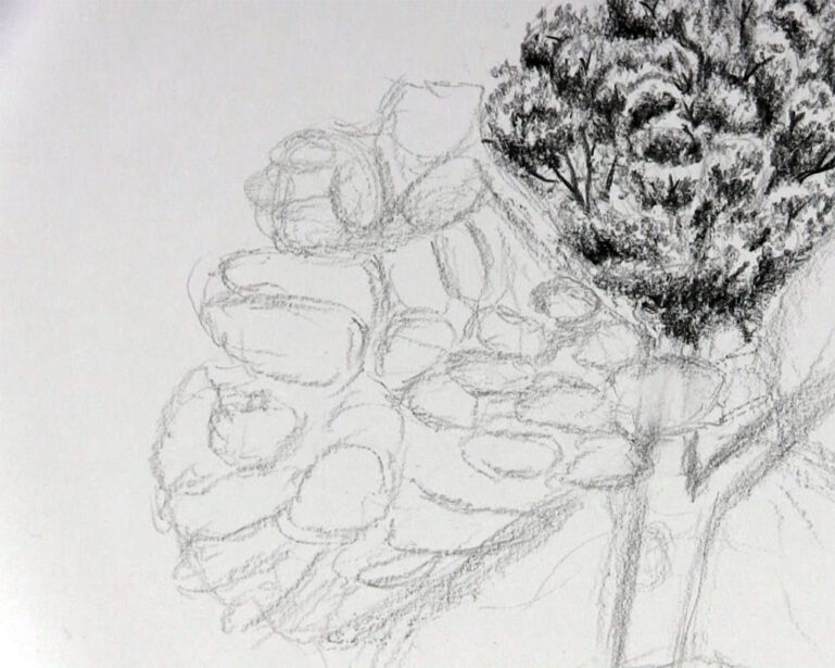 How to Draw a Tree with Leaves in a Surprisingly Familiar Way - Let's ...