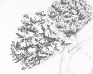 How to Draw a Tree with Leaves in a Surprisingly Familiar Way - Let's ...