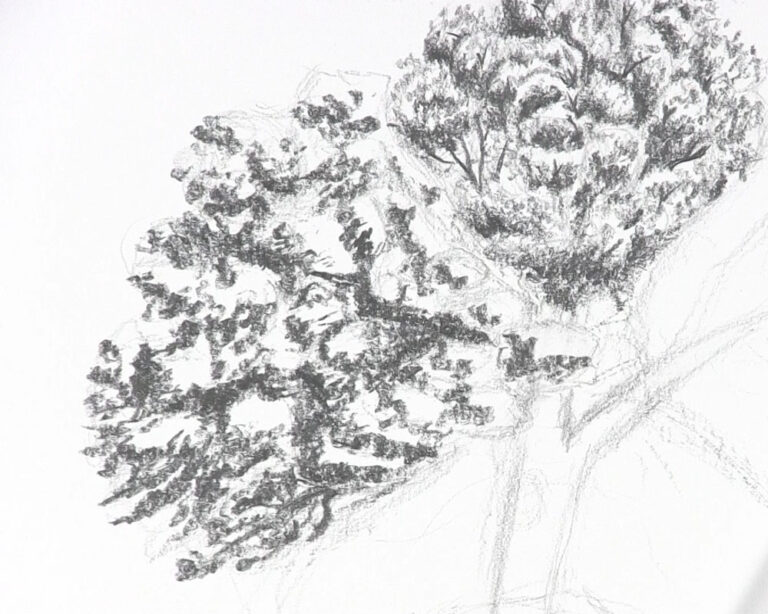 How to Draw a Tree with Leaves in a Surprisingly Familiar Way - Let's ...