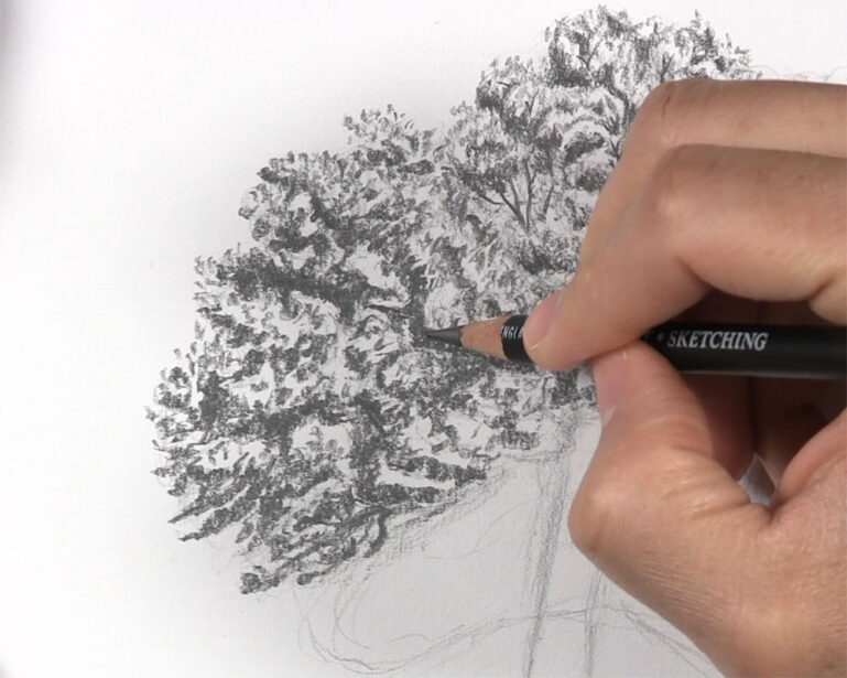 How to Draw a Tree with Leaves - Let's Draw Today
