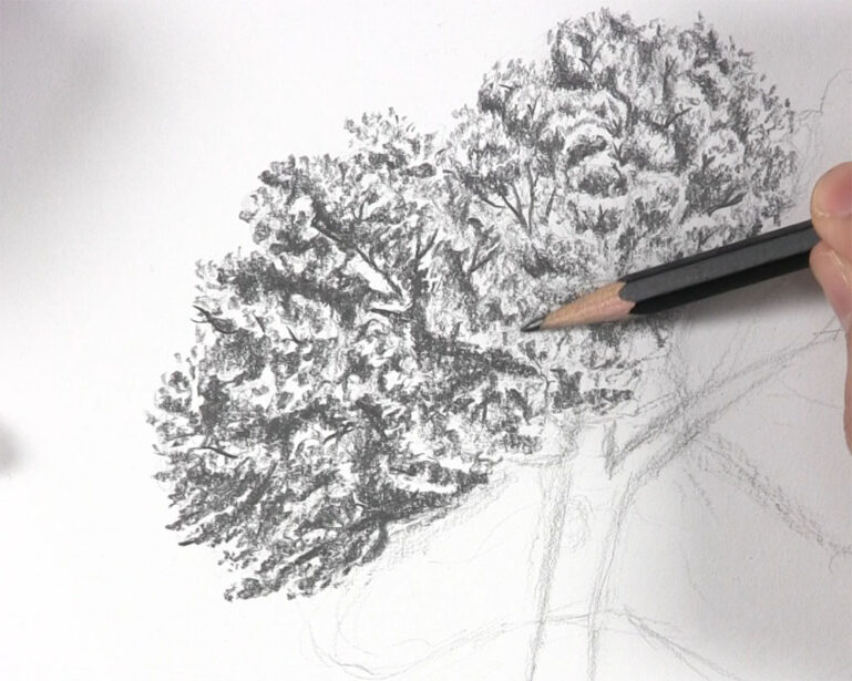 How to Draw a Tree with Leaves - Let's Draw Today