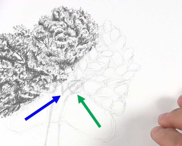 How to Draw a Tree with Leaves - Let's Draw Today